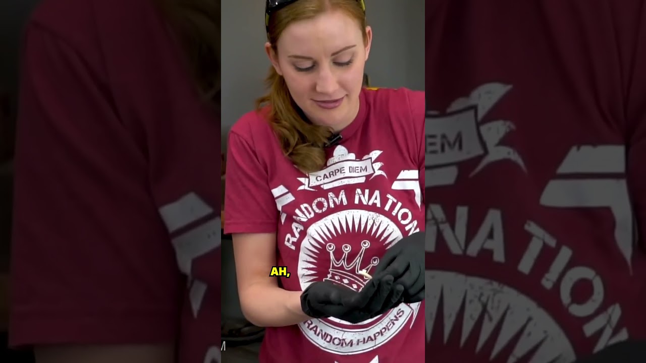 Creators explore silly experiments using spray cheese