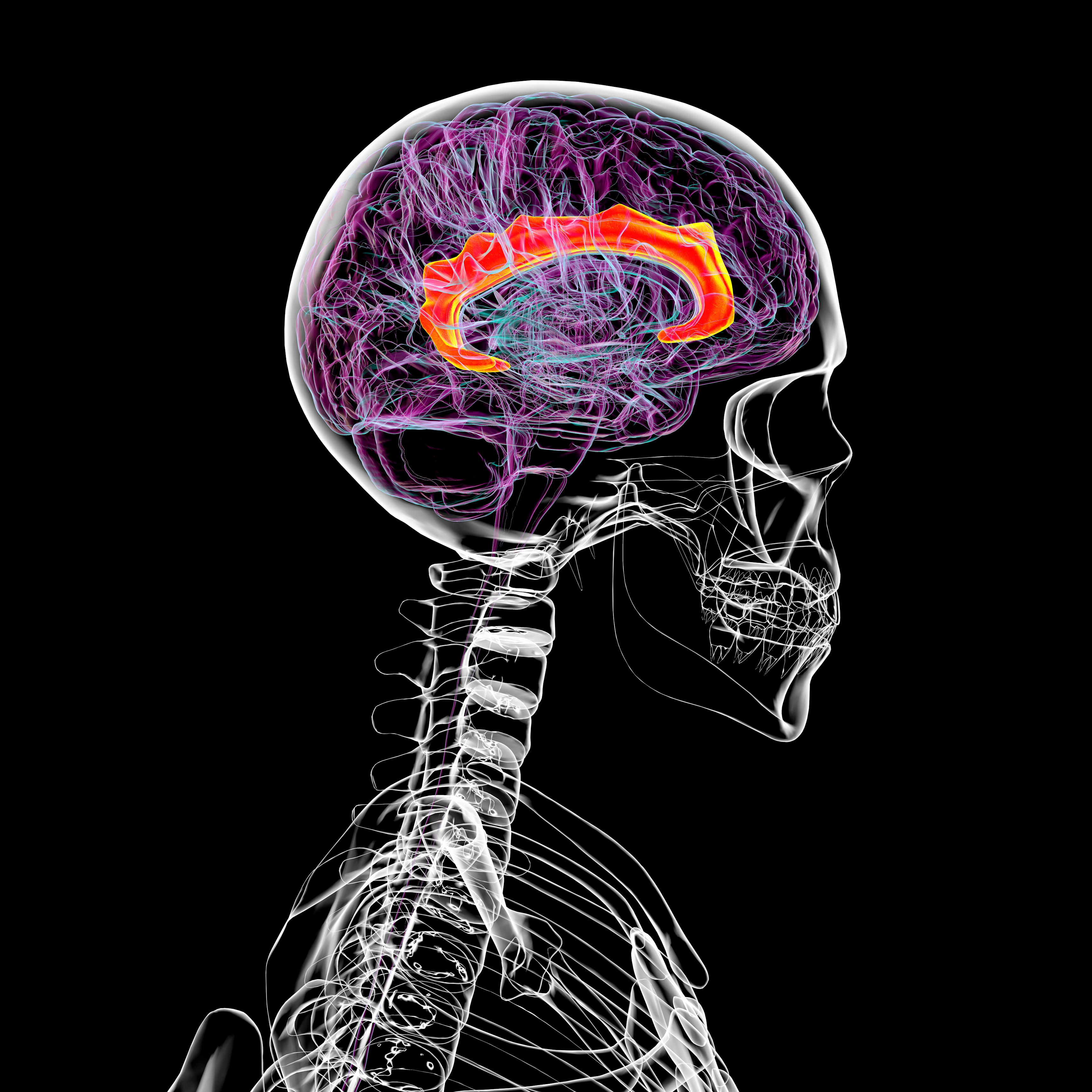 Science shows very different psychiatric disorders might have the same ...