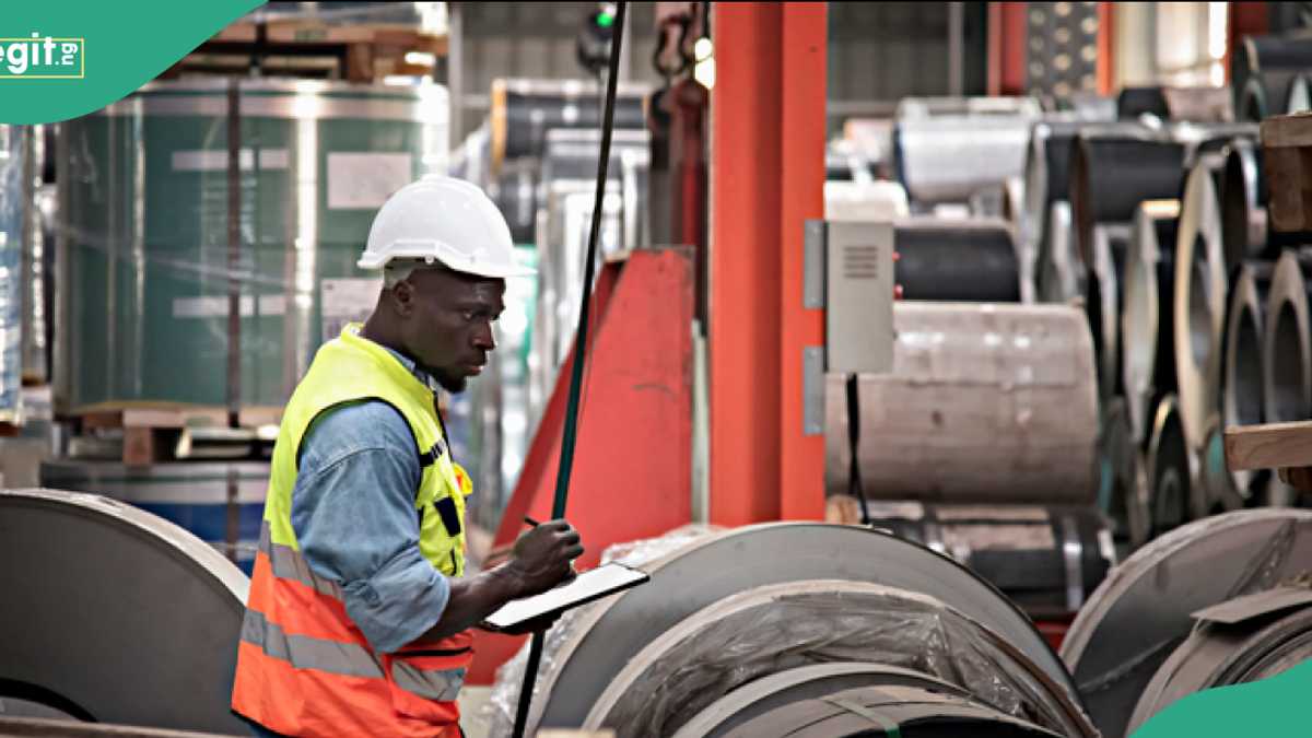 Find out more as BUA foods lead list of 10 biggest companies in Nigeria ...