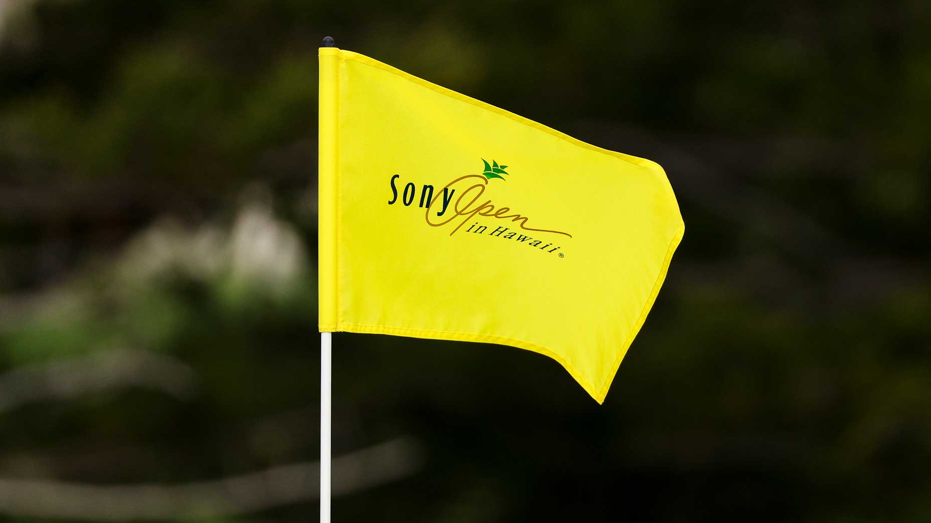 2026 Sony Open Friday TV coverage: How to watch Round 2