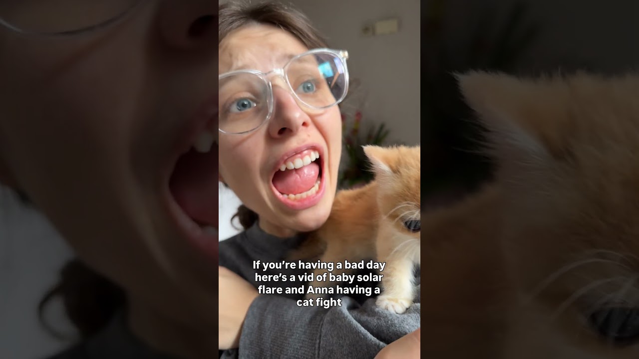 See tiny feline judge my failed cat impersonation