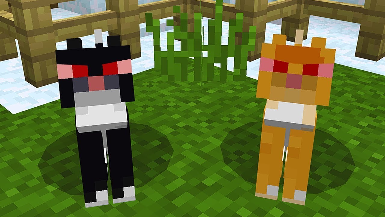 Minecraft Xbox facing killer cats in survival chaos
