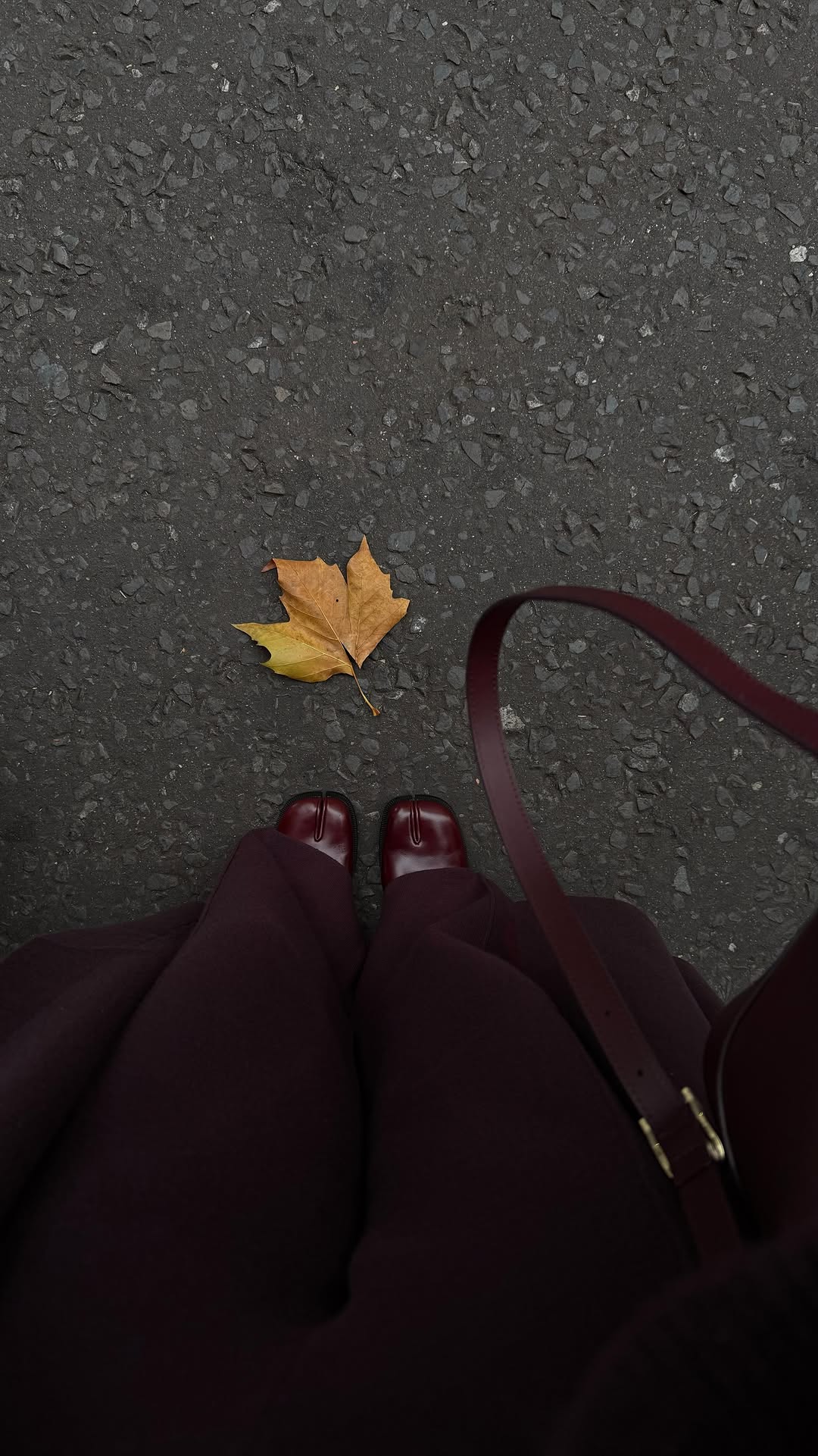 The color of the season and every season!