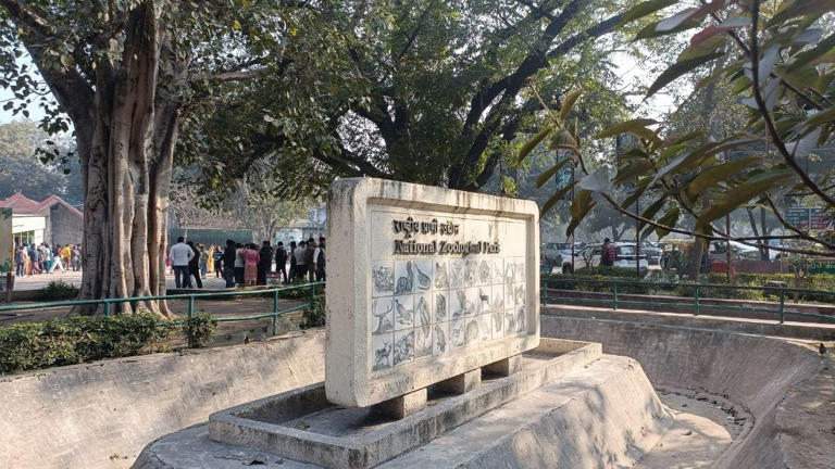 Has Delhi Zoo lost its purpose? Jackal, antelopes, elephant Shankar’s ...
