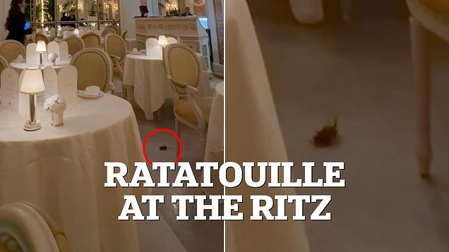 Ratatouille at The Ritz! Diners spot mouse at afternoon tea