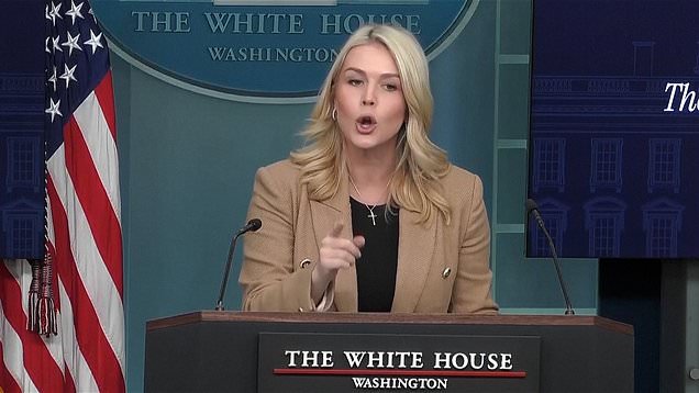 White House press secretary berates 'left-wing hack' journalist for ICE ...
