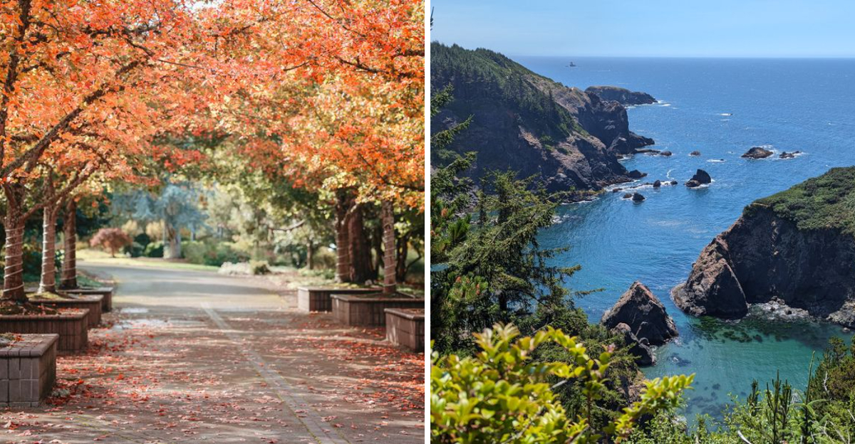 These 10 quiet places in Oregon locals visit when they need a reset