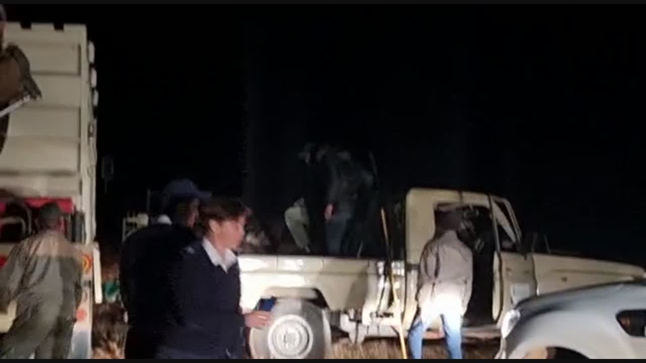 Sedated lion wakes up early