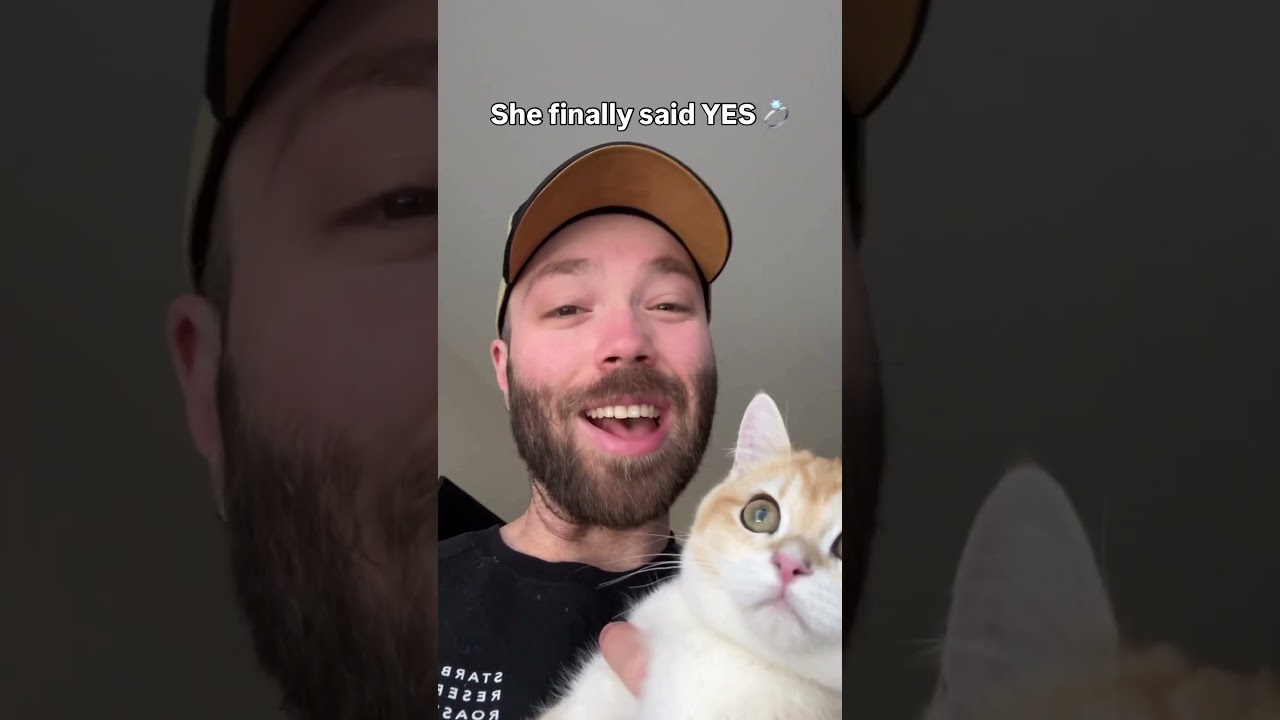 Cat judges boyfriend who won’t stop annoying girlfriend