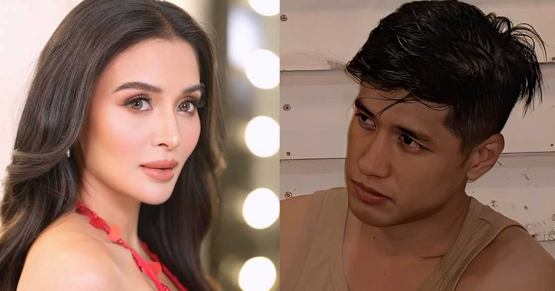 Kris Bernal explains why she and Aljur Abrenica never became a couple ...