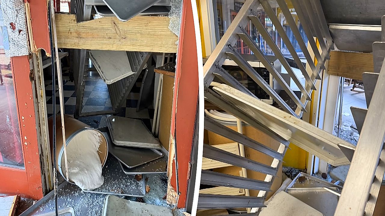 Cravings for sweets: Bear ransacks candy store – for the fourth time