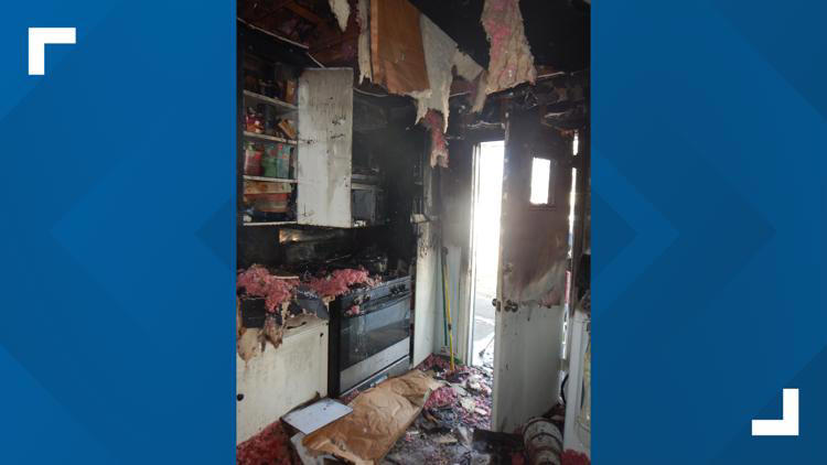 Garland Fire reminds residents of cooking safety after cat accidentally ...