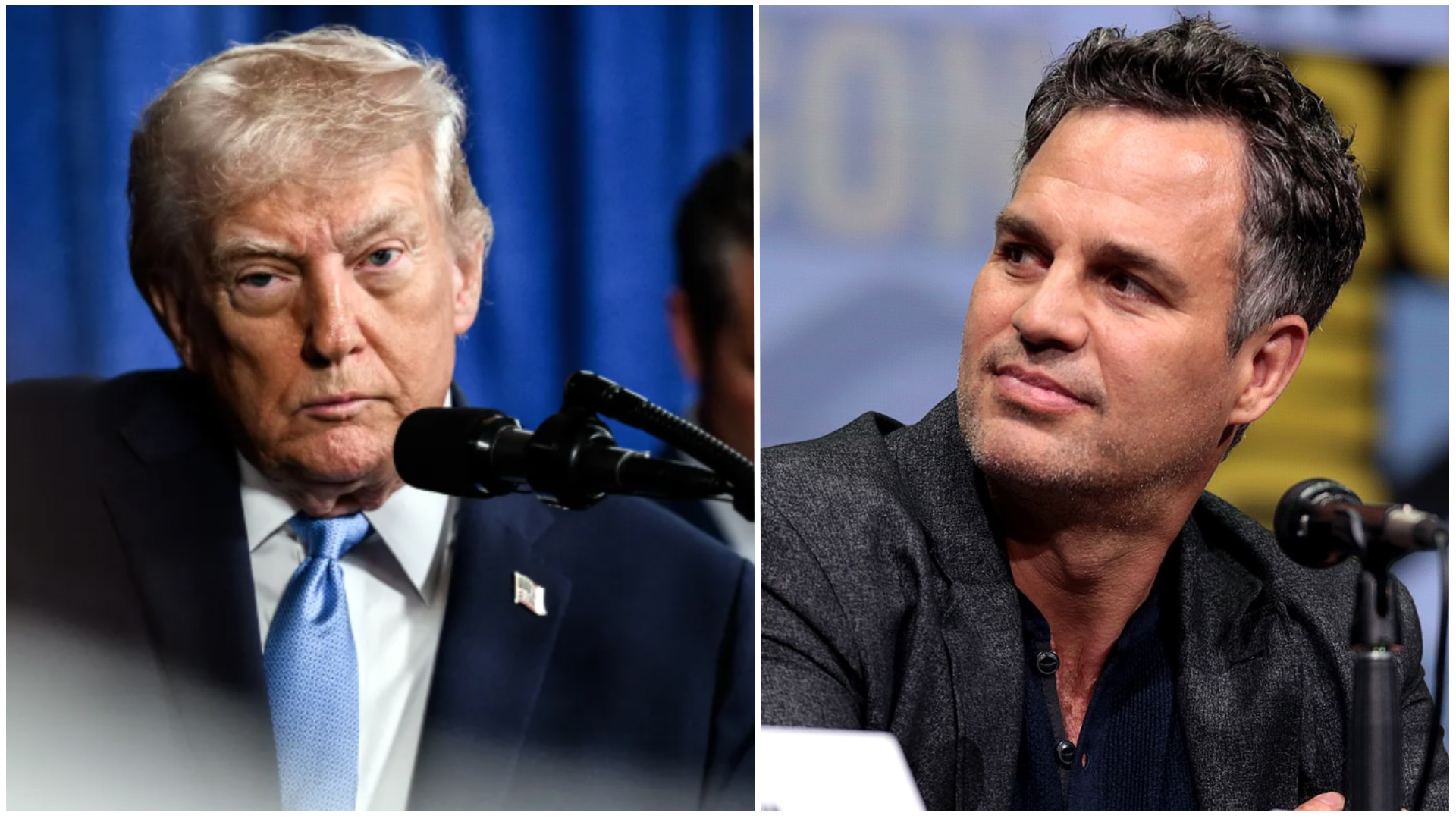 White House finally responds to Mark Ruffalo’s brutal 'Trump jab' at ...