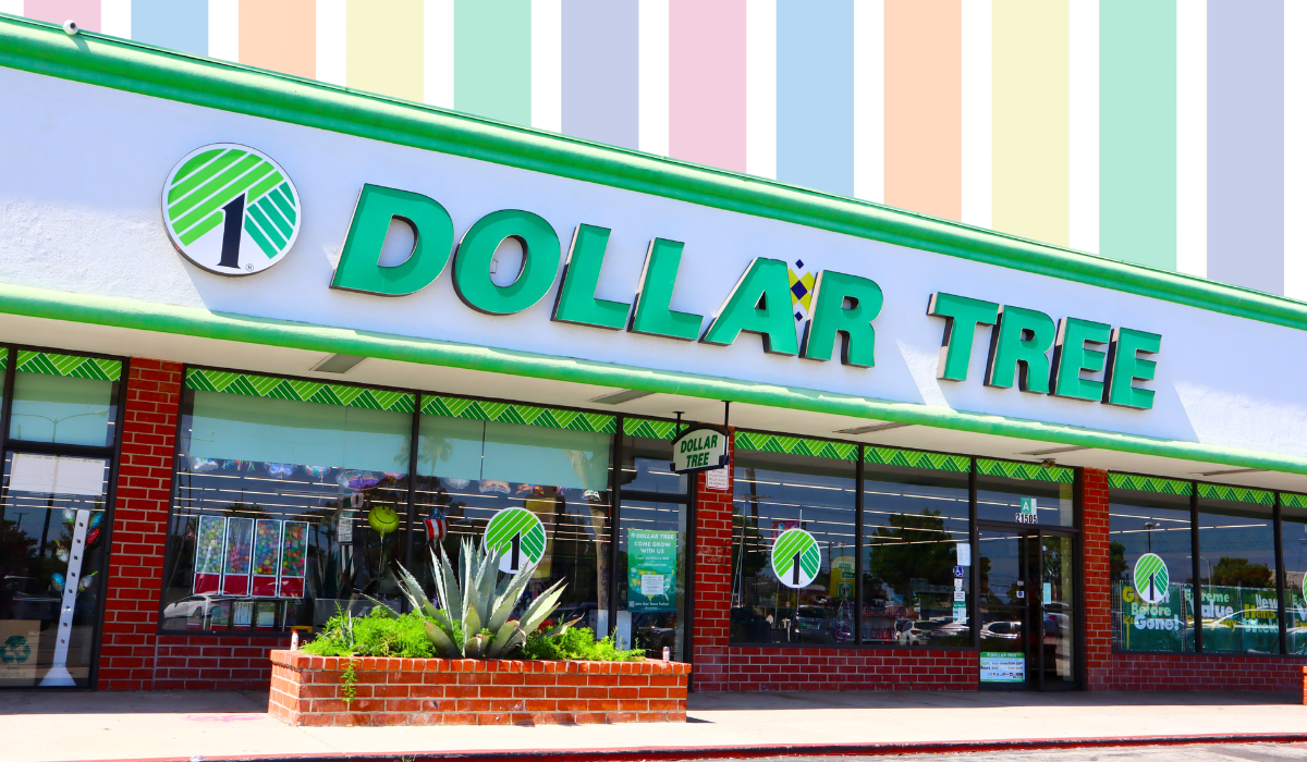 11 best new Dollar Tree spring home finds hitting shelves this week