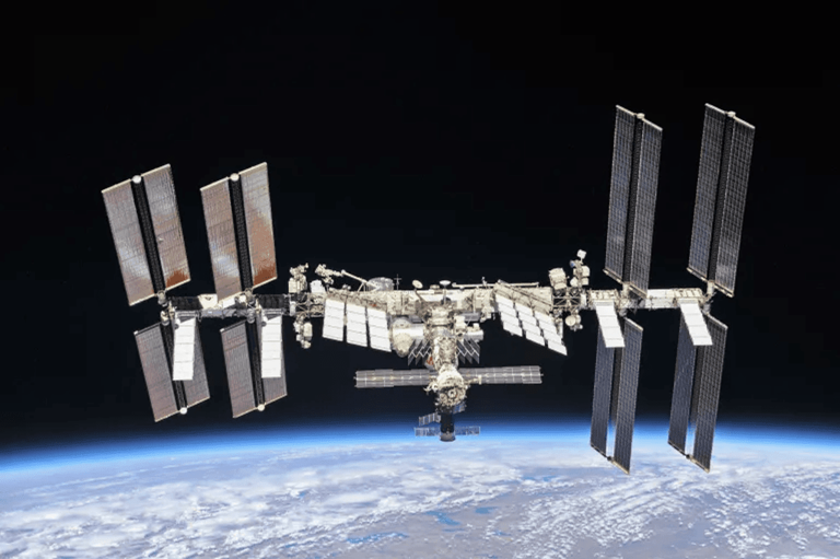 Viruses vs. bacteria: Space changes how they interact, and that could ...