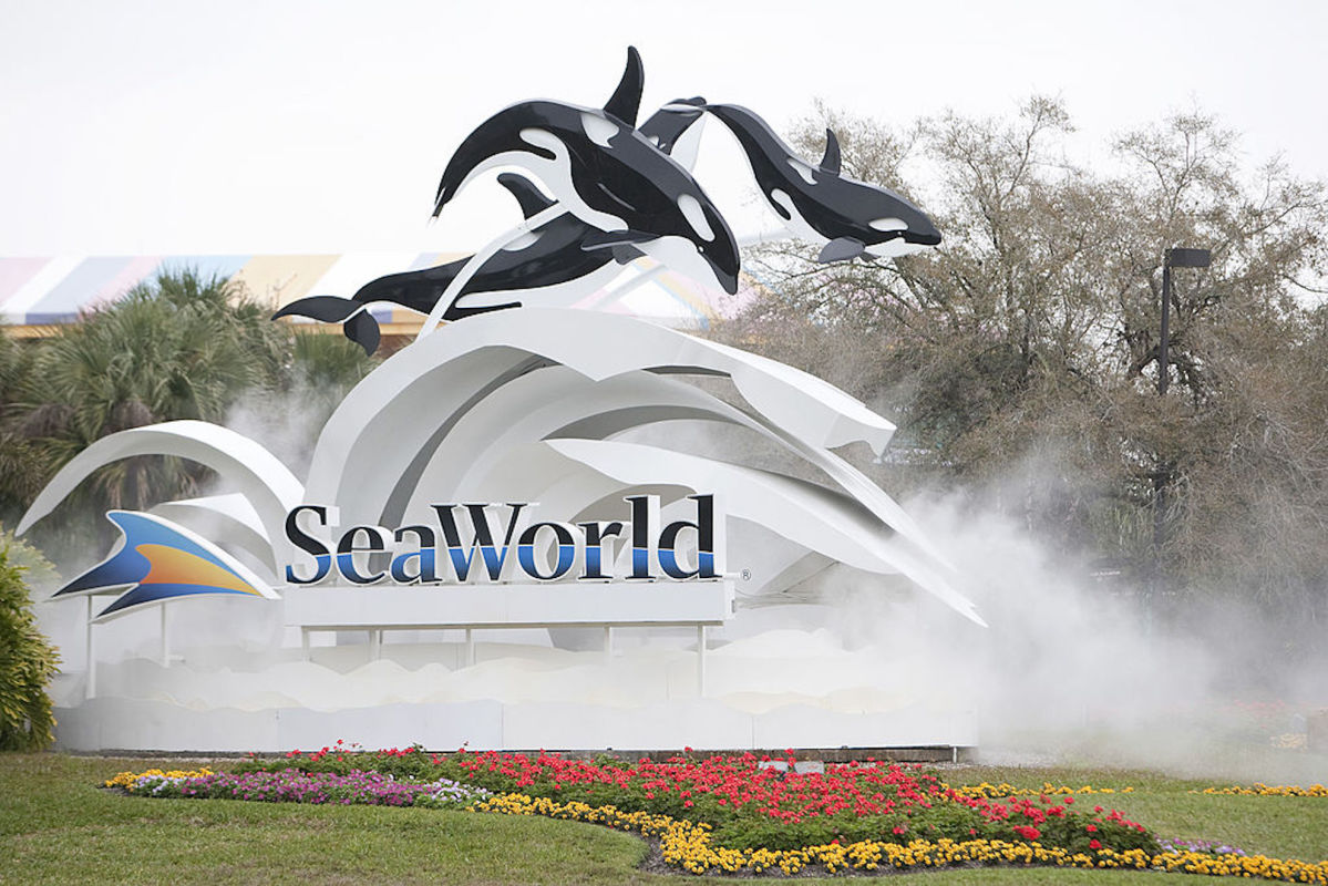 SeaWorld reveals its 2026 free summer concert lineup, with Flo Rida ...