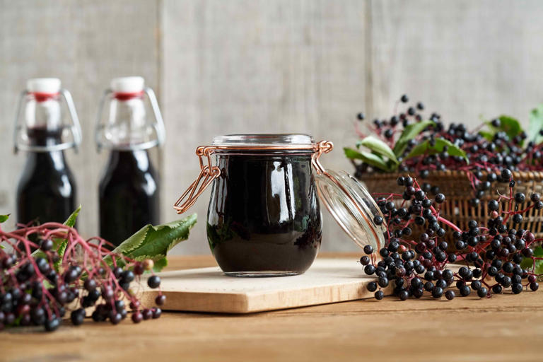 Best time to take elderberry for immune support