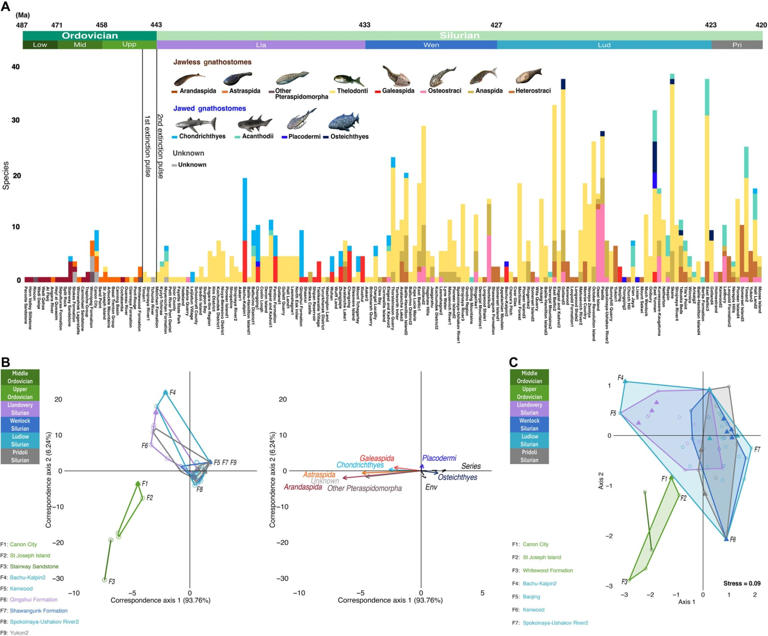 Mass extinction helped jawed vertebrates rise, study finds