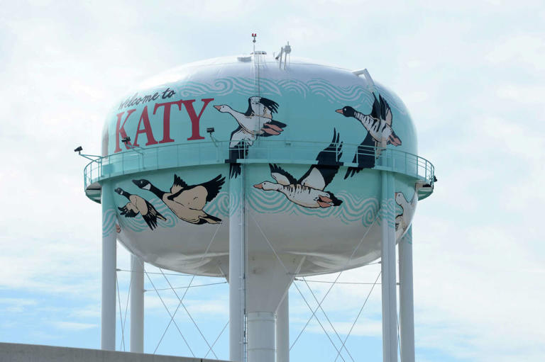 Increasingly rare winter visitor makes a noticeable return to Katy