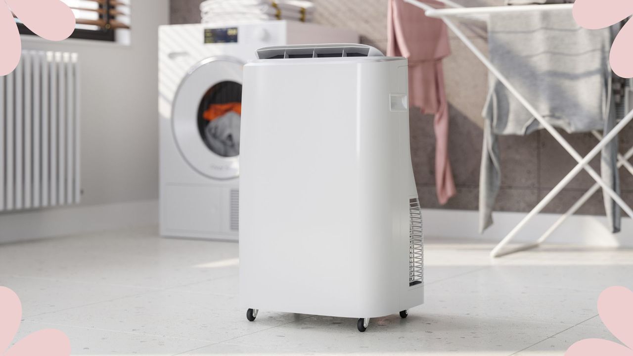 How much does it cost to run a dehumidifier? Experts explain and share ...