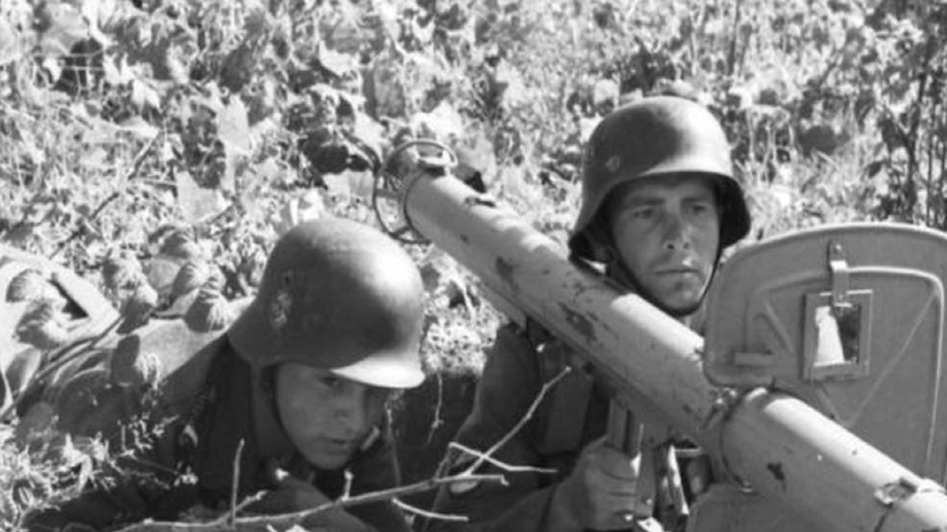 The 22 survivors: The suicidal hill charge that finally ended the green ...