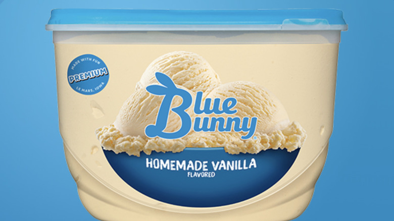 21 top ice cream brands, ranked by flavor and quality