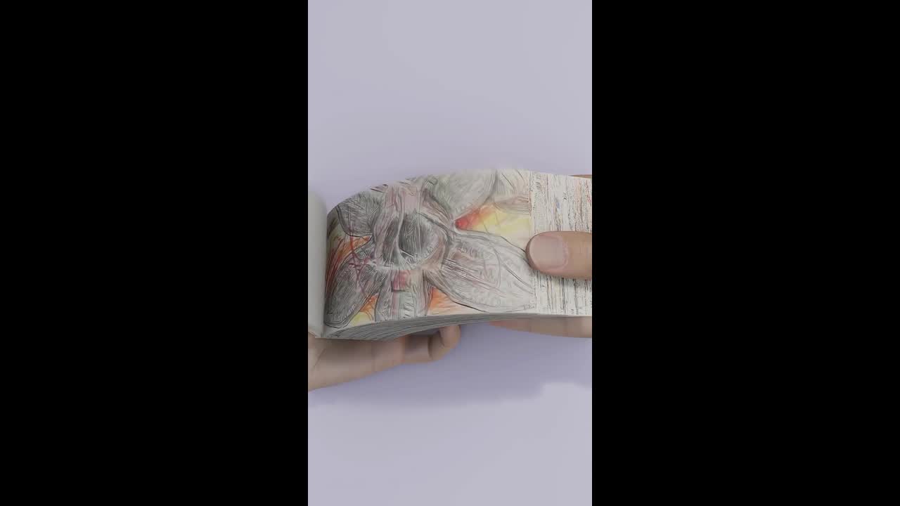 Artist creates incredible flip book to bring terrifying 'Stranger ...