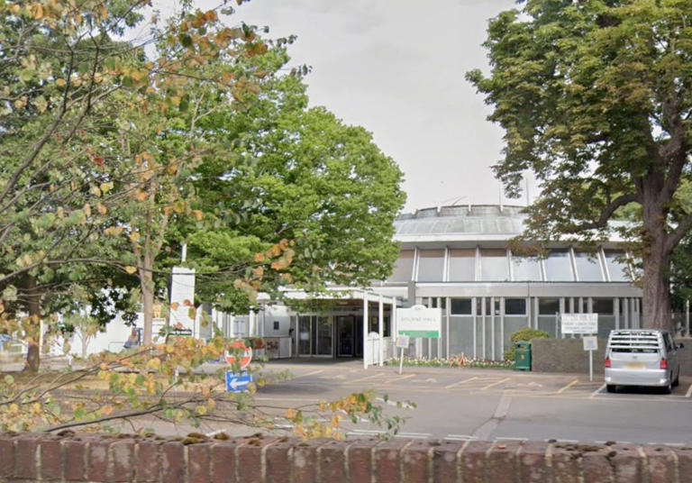 Surrey museum could get funding boost to become 'more relevant'