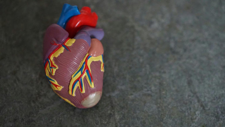First-ever high-risk heart bypass performed without opening patient's ...