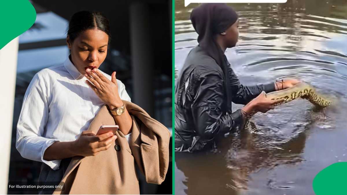 Very gifted young lady: Woman familiarises herself with a giant snake ...