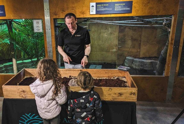 30 fun things to do over February break with Philly kids