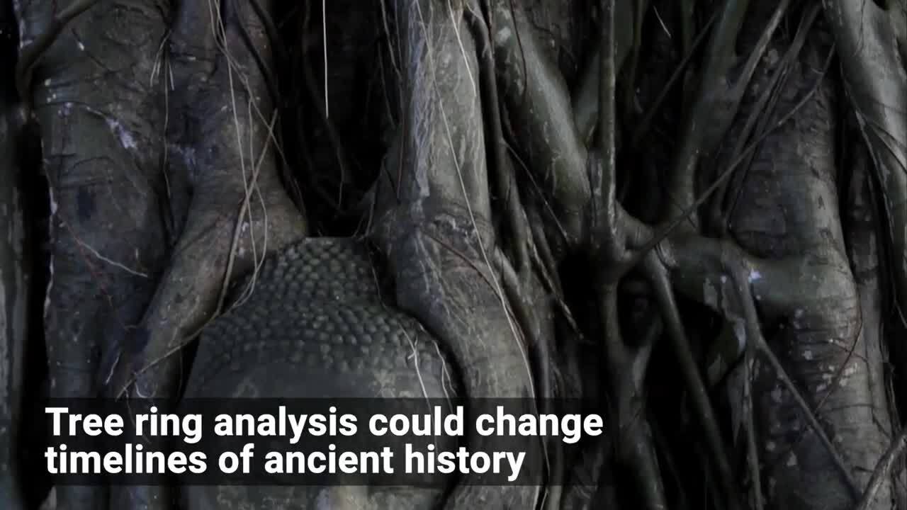 How tree rings can reveal timelines from the ancient world