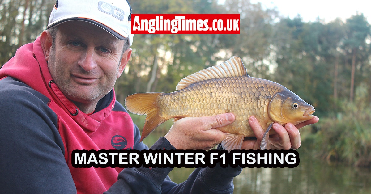 How to catch F1’s in winter