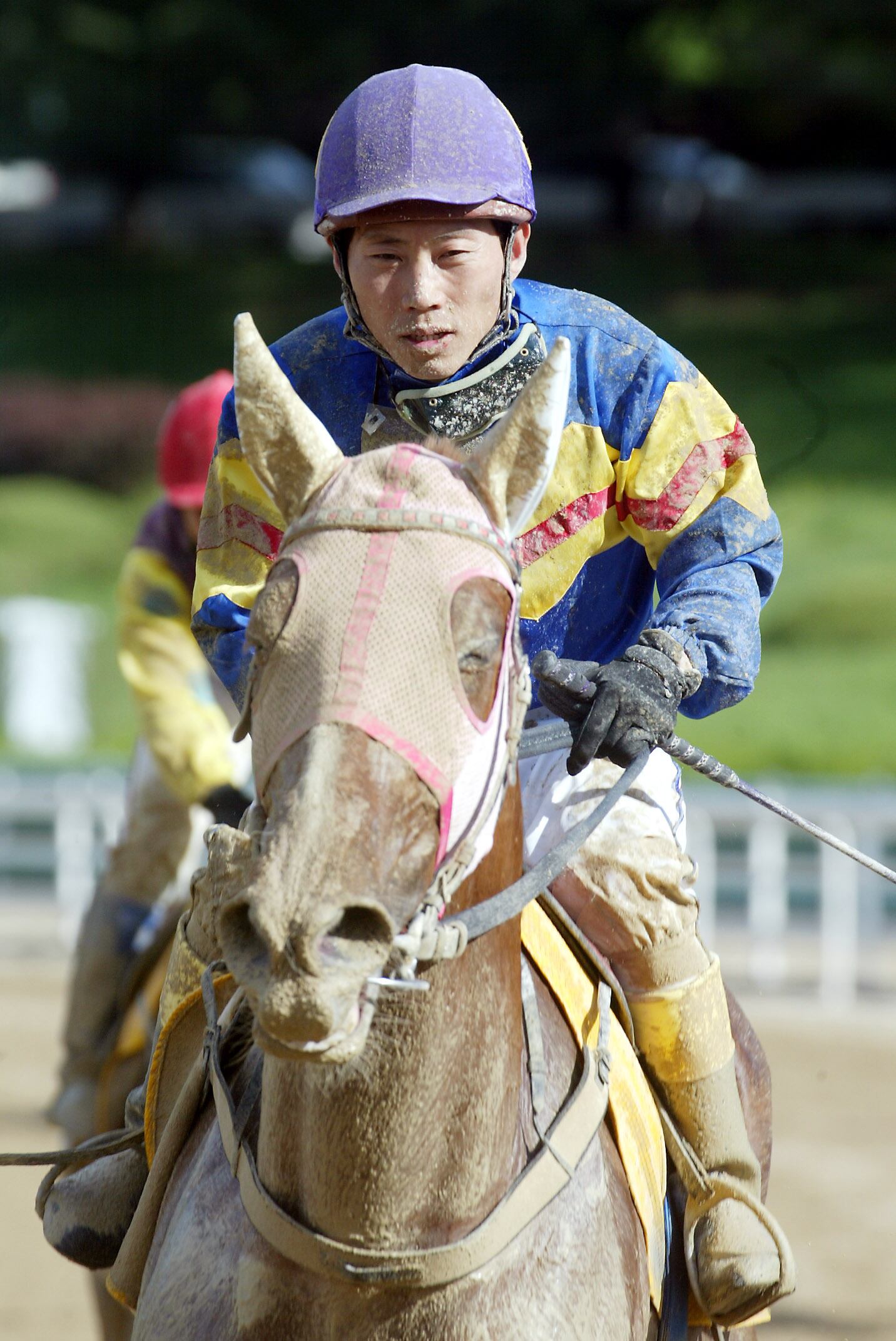 Horse racing legend Park Tae-jong retires after 39 years