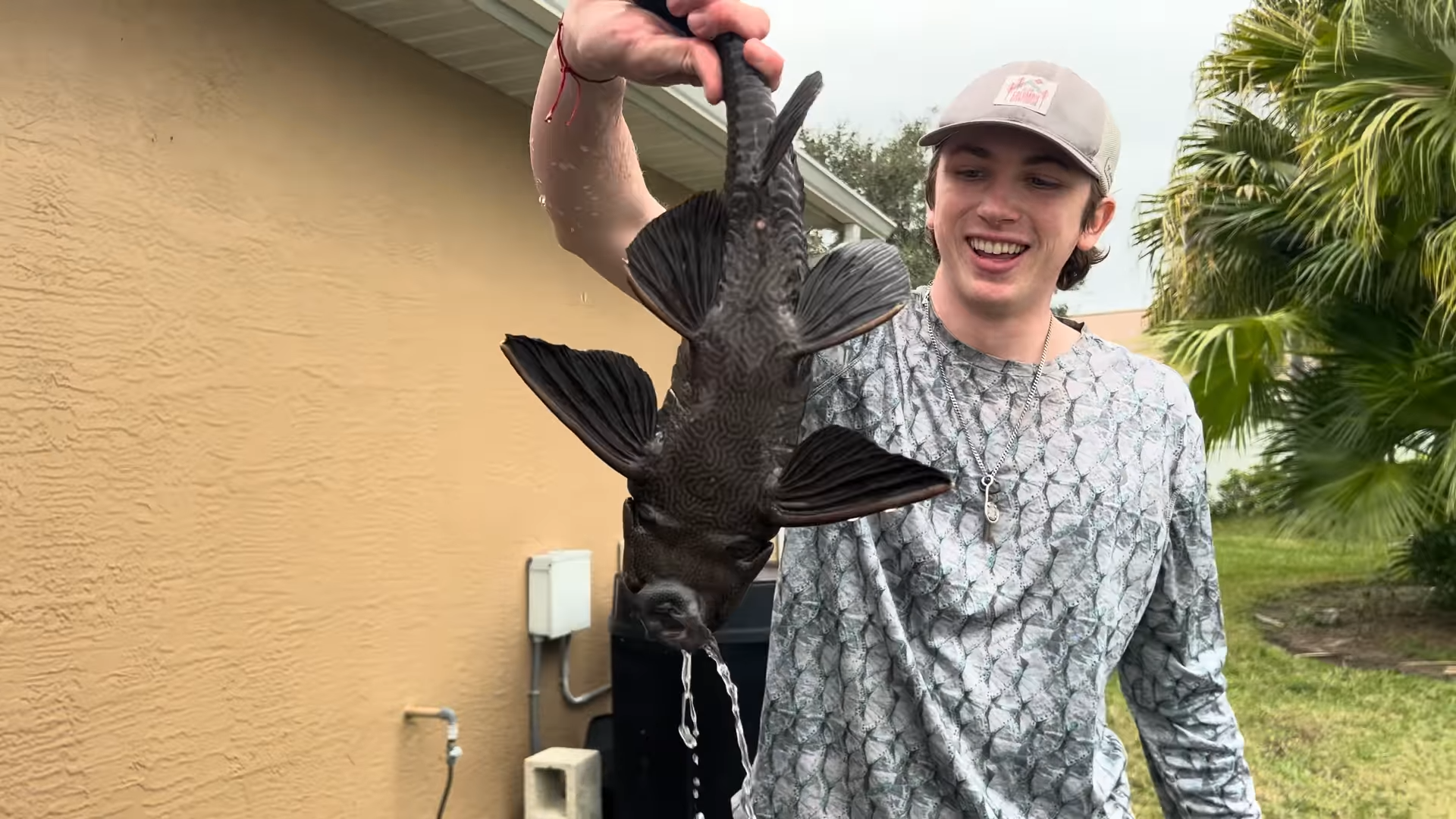 Saving monster fish from a tiny aquarium - epic upgrade reveal