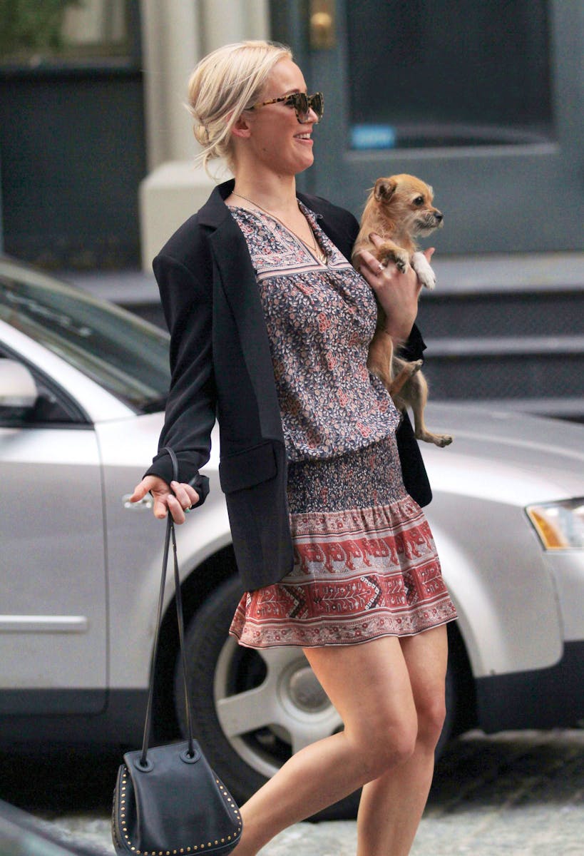 «Als das Baby kam, musste ich meine drei Katzen weggeben»