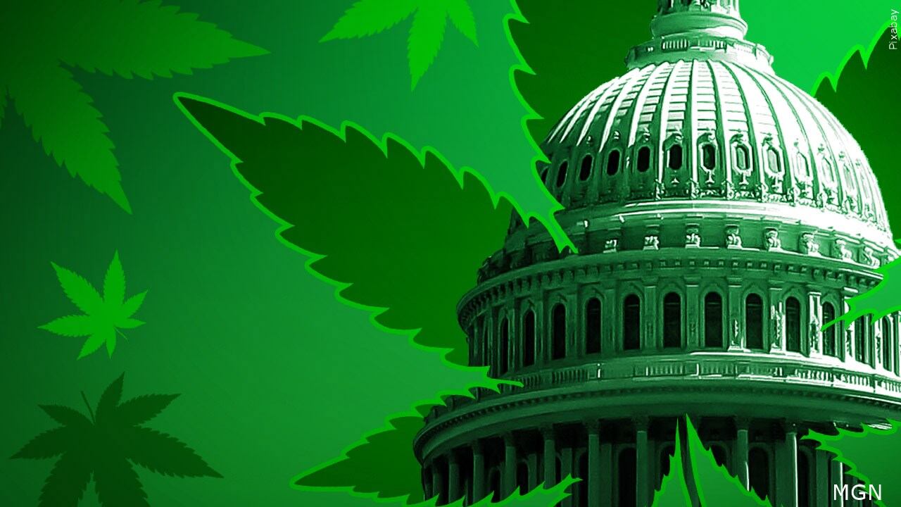 State officials propose major changes to THC industry in Texas