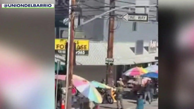 ICE in LA: Federal agents conduct raid in downtown’s Fashion District