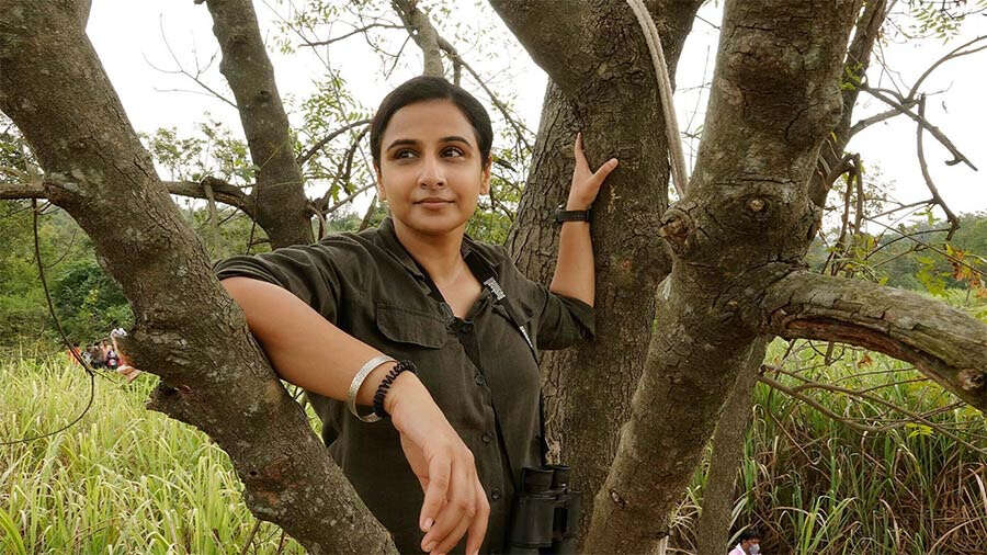 6 Vidya Balan movies that broke stereotypes