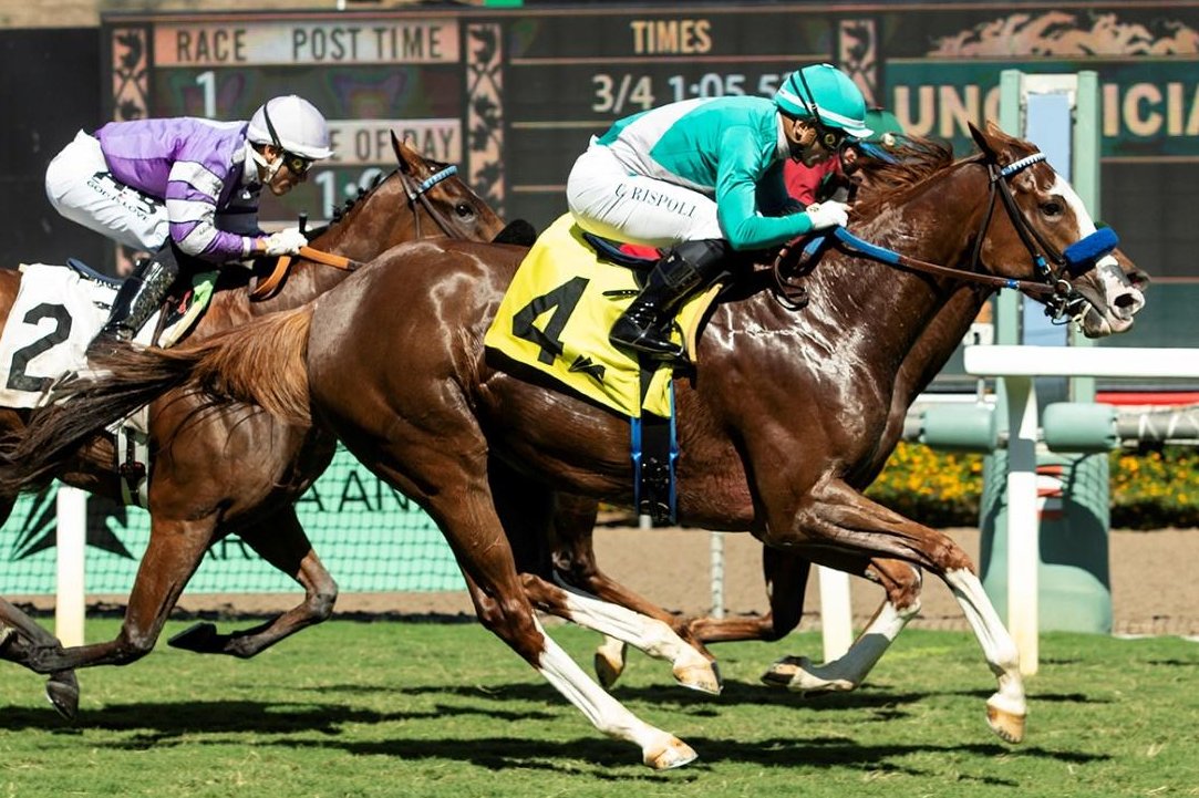 New Orleans' Fair Grounds heads weekend horse racing parade