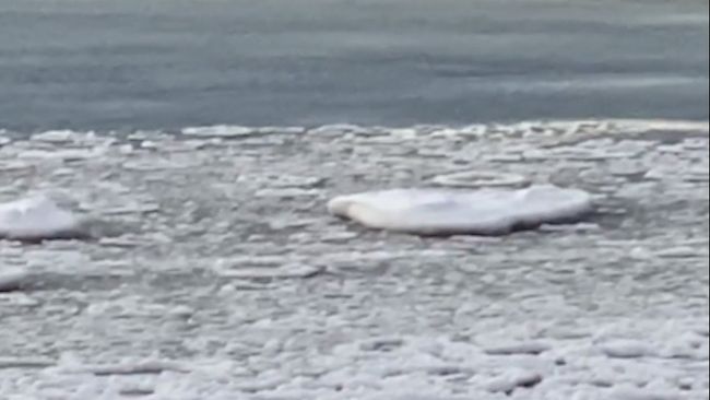 Ice pancakes float off of Lake Erie's Crystal Beach