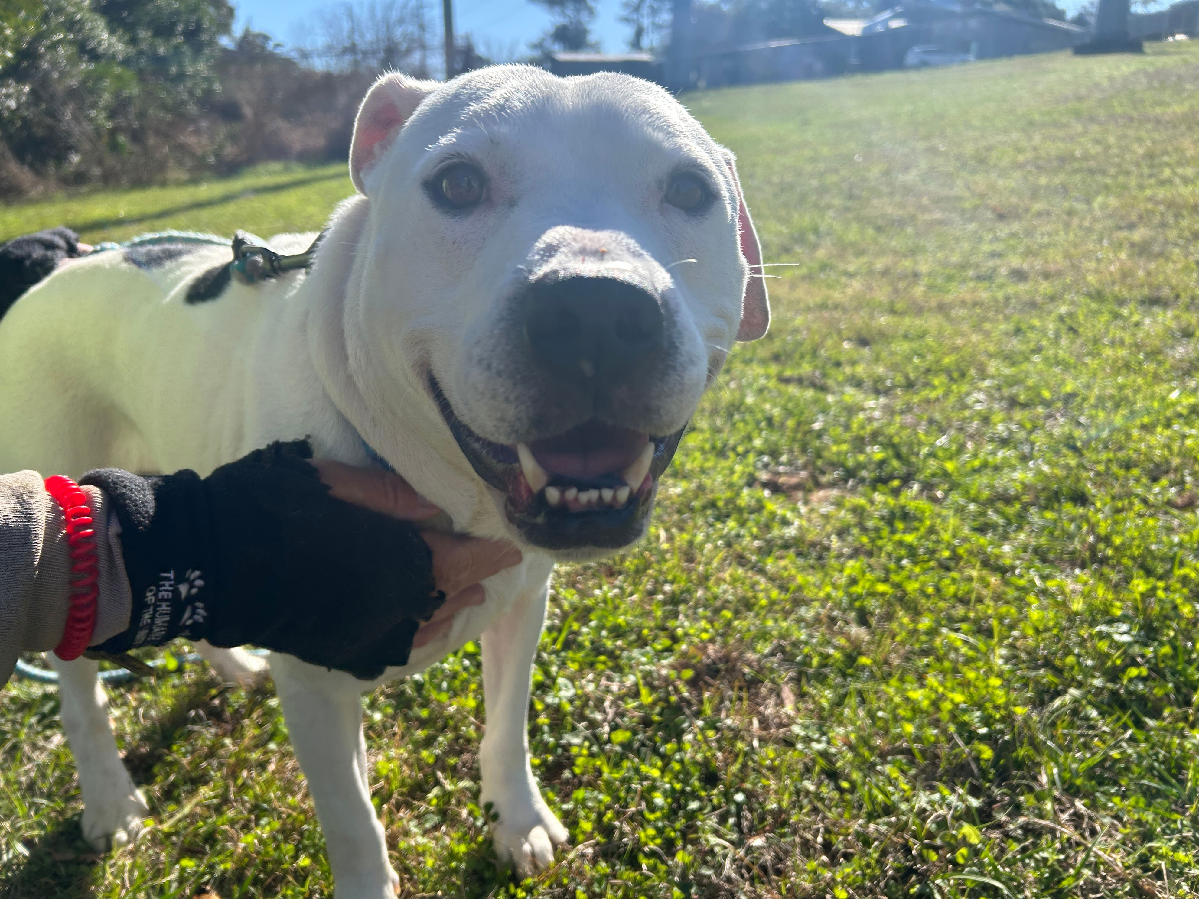 Furry Friday: Bundle up, we’re ready for a walk!