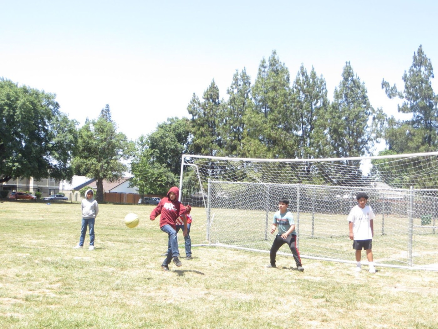 Prairie Elementary School students improve campus through Woodland ...