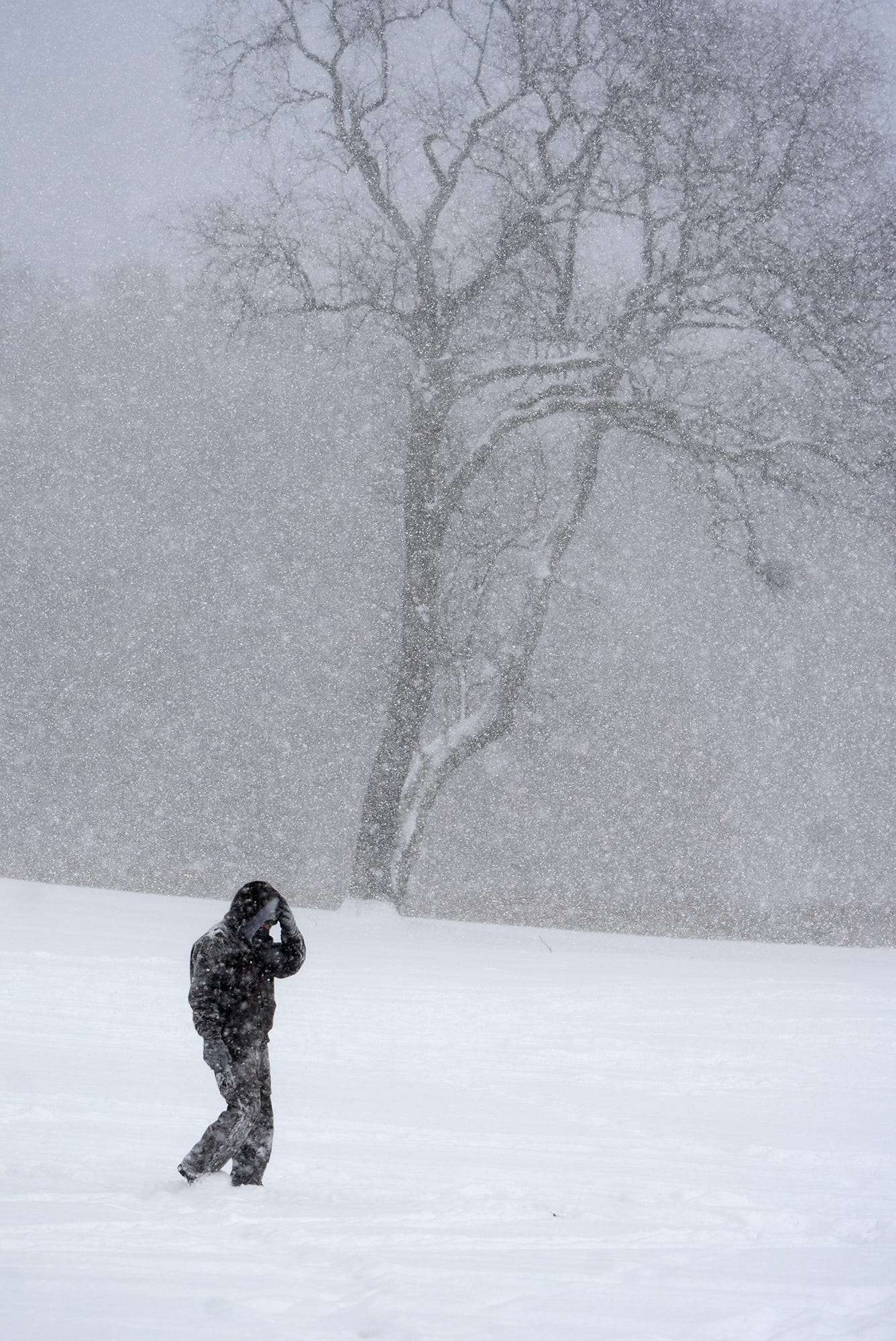 More snow, bitter cold in weather forecast. See snow totals for Ohio
