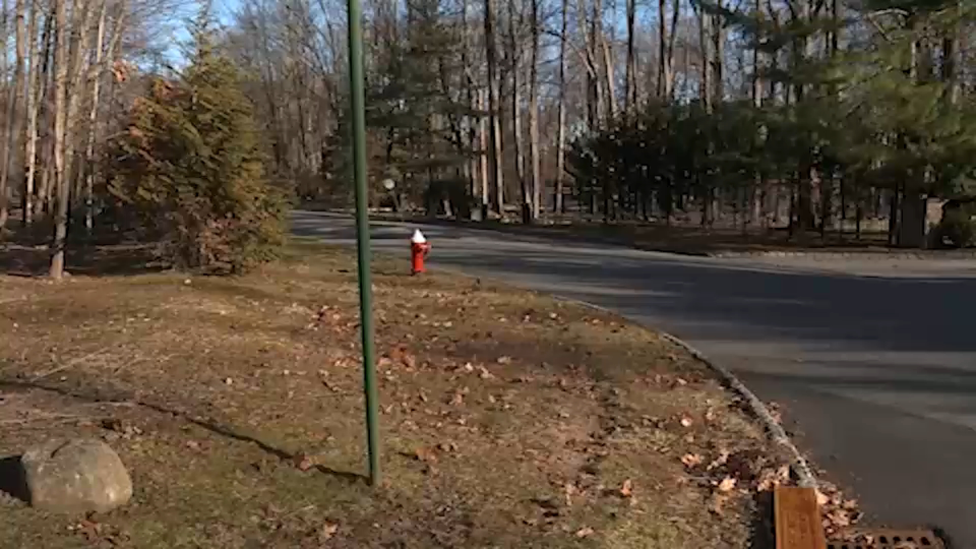 Dog missing after possible coyote attack in Saddle River; police ...