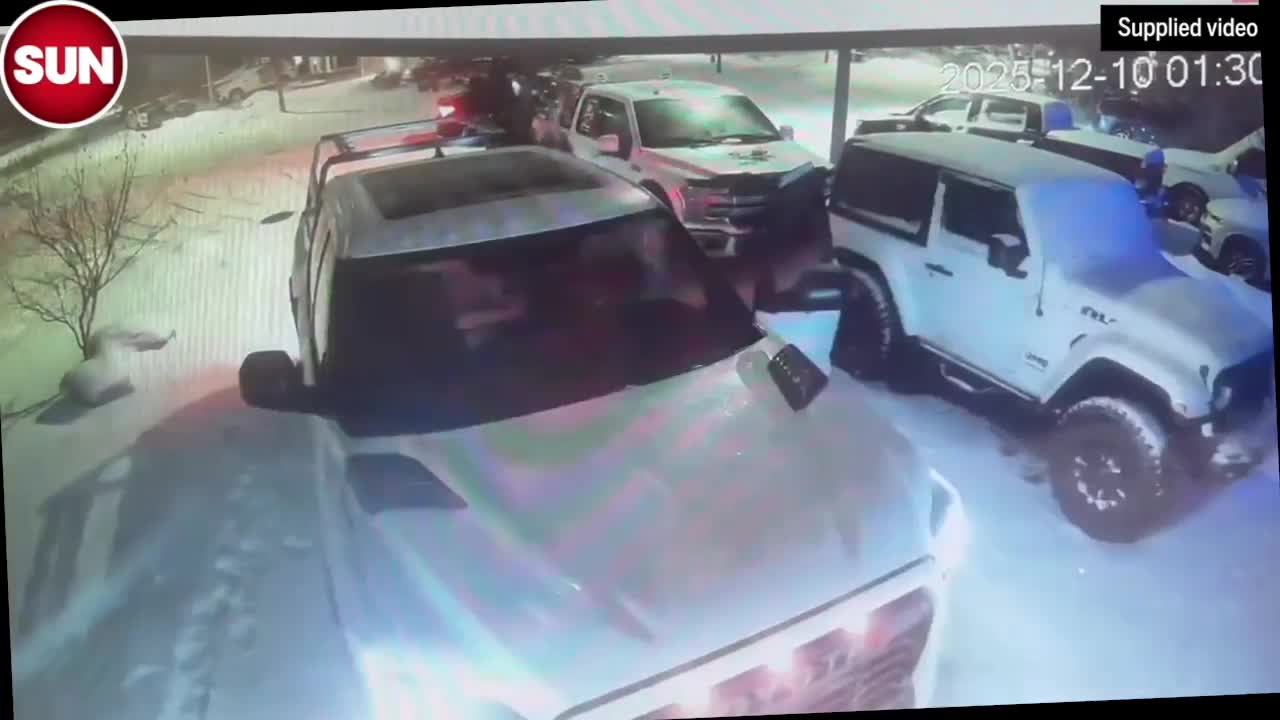 Caught on camera: Never try to steal a car from a hockey player