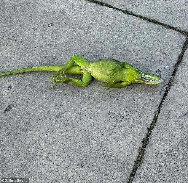 Polar vortex returns to send half of US into a deep freeze for weeks