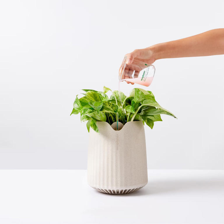 Healthy home upgrades: Best products to create a cleaner, safer space ...