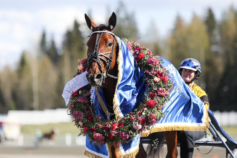 Päivän ravit: Tasokas T75-kierros myös perjantaina
