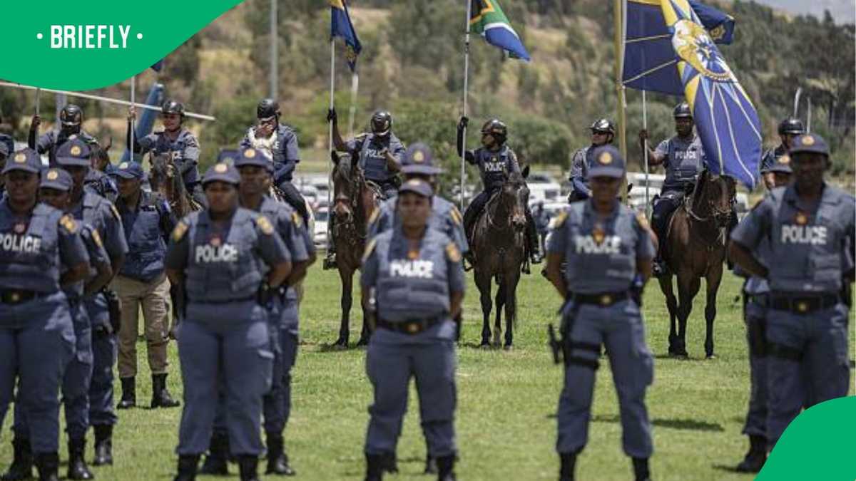 KZN police eliminate four suspects in gunfight, just one day after ...